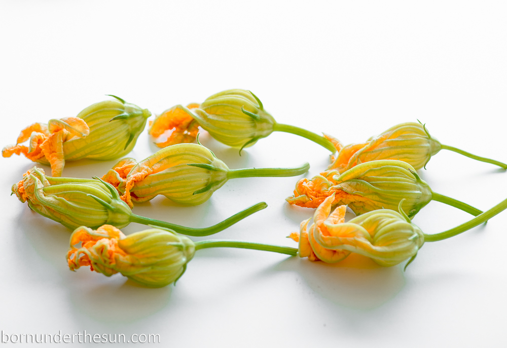 What to do with squash blossoms? – born under the sun